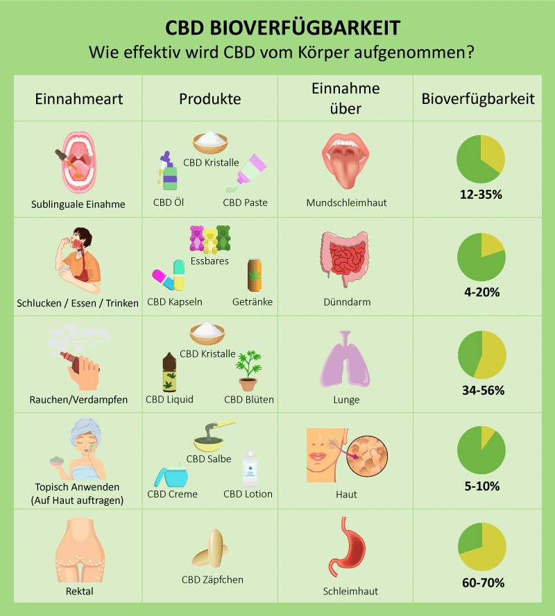 📙 Cannabdiol (CBD) Wirkung – Alles über die Wirkung & Anwendung | CBD360